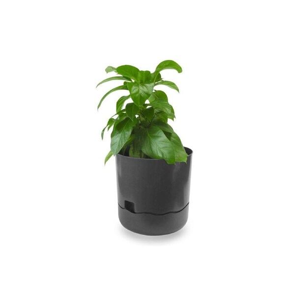 Greenlife Circular Self Watering Plastic Pot - Slate Grey 240 x 240 x ...