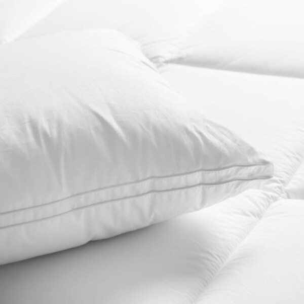 Renee Taylor Soft/Medium 48x73cm Down Alternate Standard Sleeping Pillow White | Woolworths