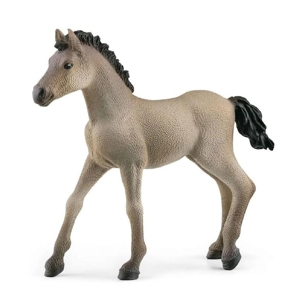 Schleich Horse Club - Criollo Definitivo Foal | Woolworths