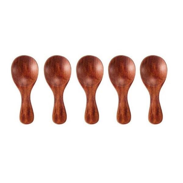 10x Mini Wooden Spoon Kitchen Spice Spoon Small Short Condiment Spoons ...