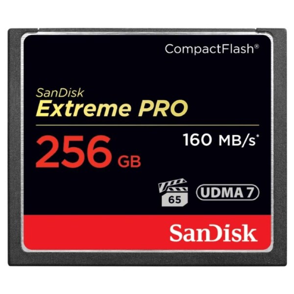 SanDisk Extreme PRO 256GB 160MB/s UDMA 7 VPG-65 Compact Flash Memory ...