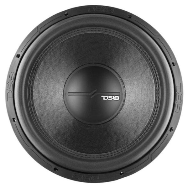 DS18 ZR15.4D 1500W 15'' Subwoofer | Woolworths