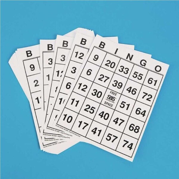 Large-Print Bingo Cards (Set of 25) | Woolworths