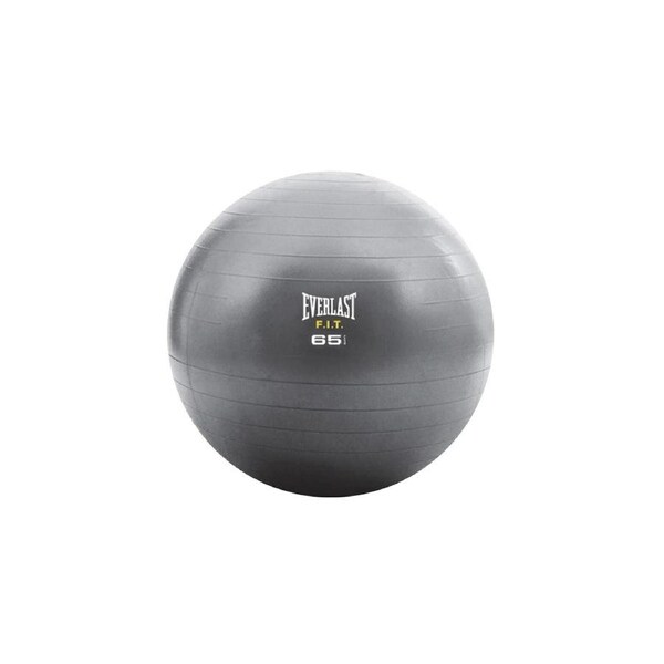 Everlast 65cm Fitball | Woolworths