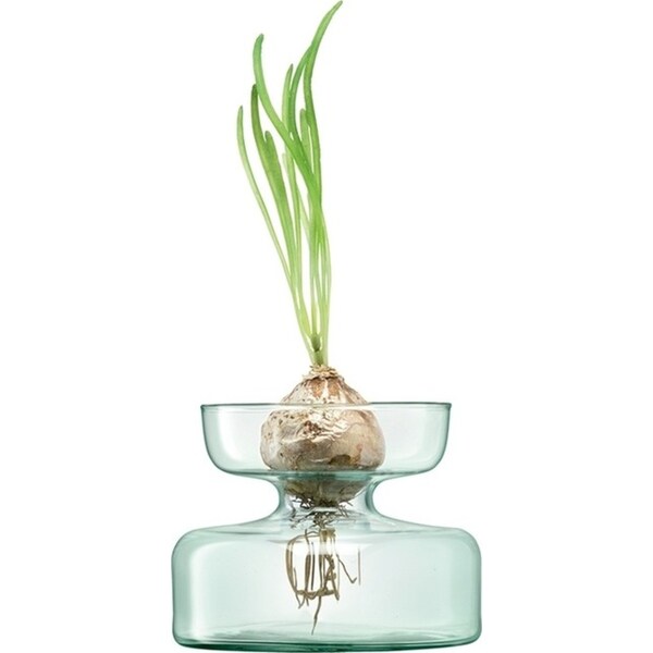 LSA International Canopy Vase/Bulb Enclosed Garden Home Planter Clear ...