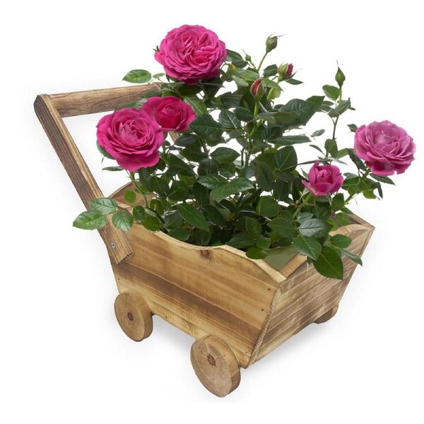 Cartoon Flower Pot Wooden Pot for Plants Cute Car Shape Decorative ...