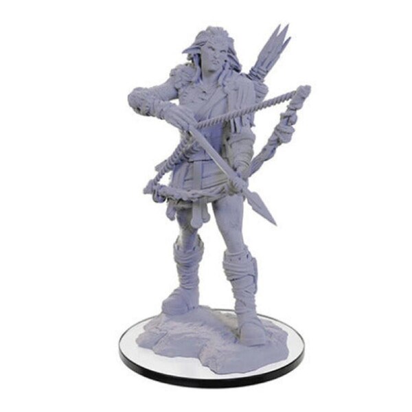 Pathfinder Deep Cuts Miniatures: Wood Giant | Woolworths