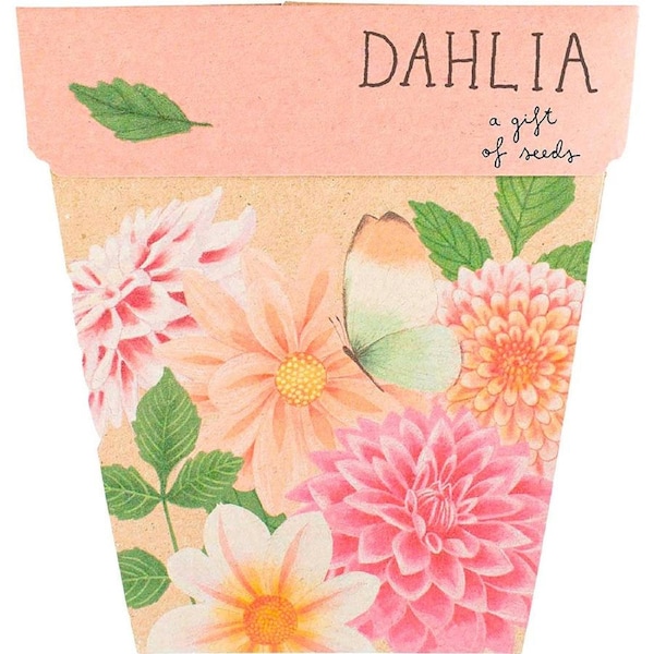 Sow 'n Sow Gift of Seeds Dahlia | Woolworths