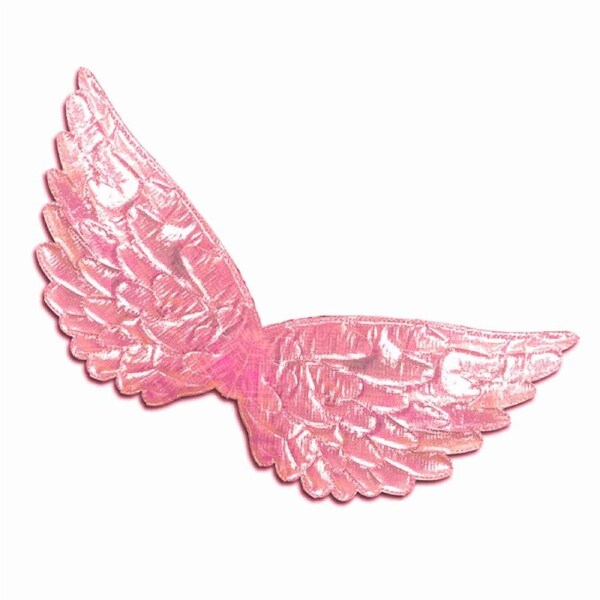 Pink Aura Mini Wings 45cm | Woolworths