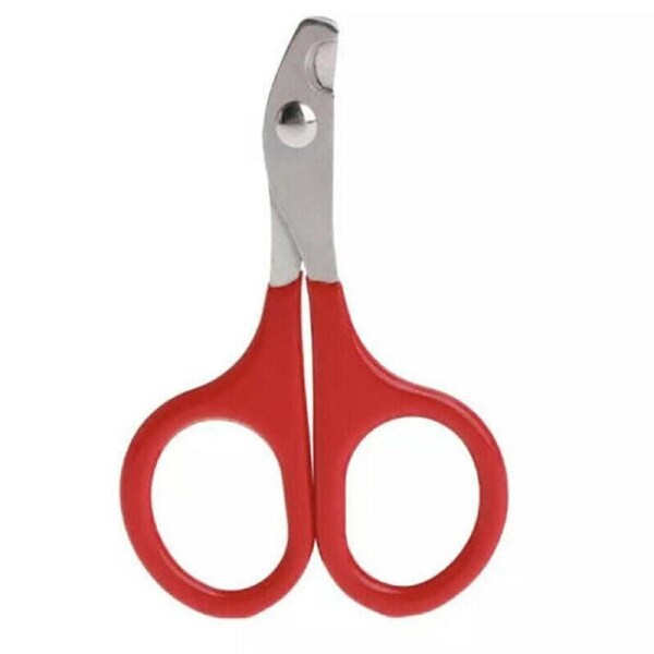 Pet Nail Claw Grooming Scissors Clippers For Dog Cat Bird Rabbit Ferret ...