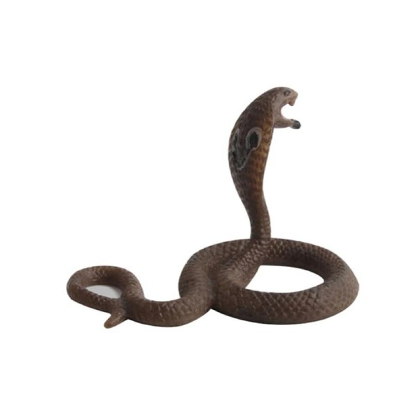 Artificial Realistic Simulated Snake Educational Science Toy- Coffee ...