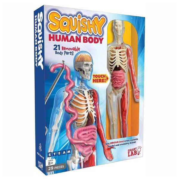 SmartLab Toys Squishy Human Body Educational Toy | Woolworths
