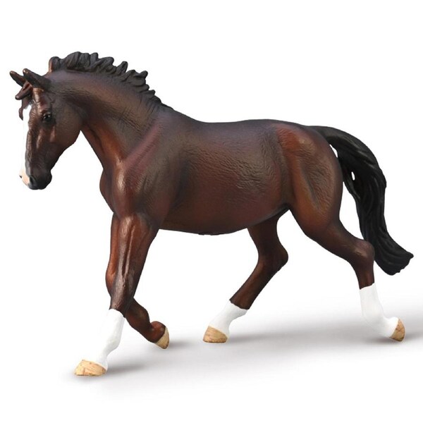 Collecta - Oldenburg Mare Bay | Woolworths