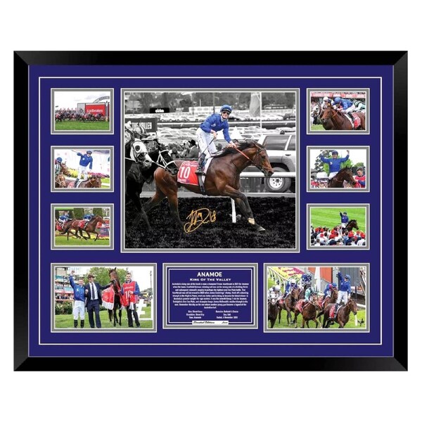 Anamoe Cox Plate 2022 James McDonald Limited Photo Memorabilia Frame ...