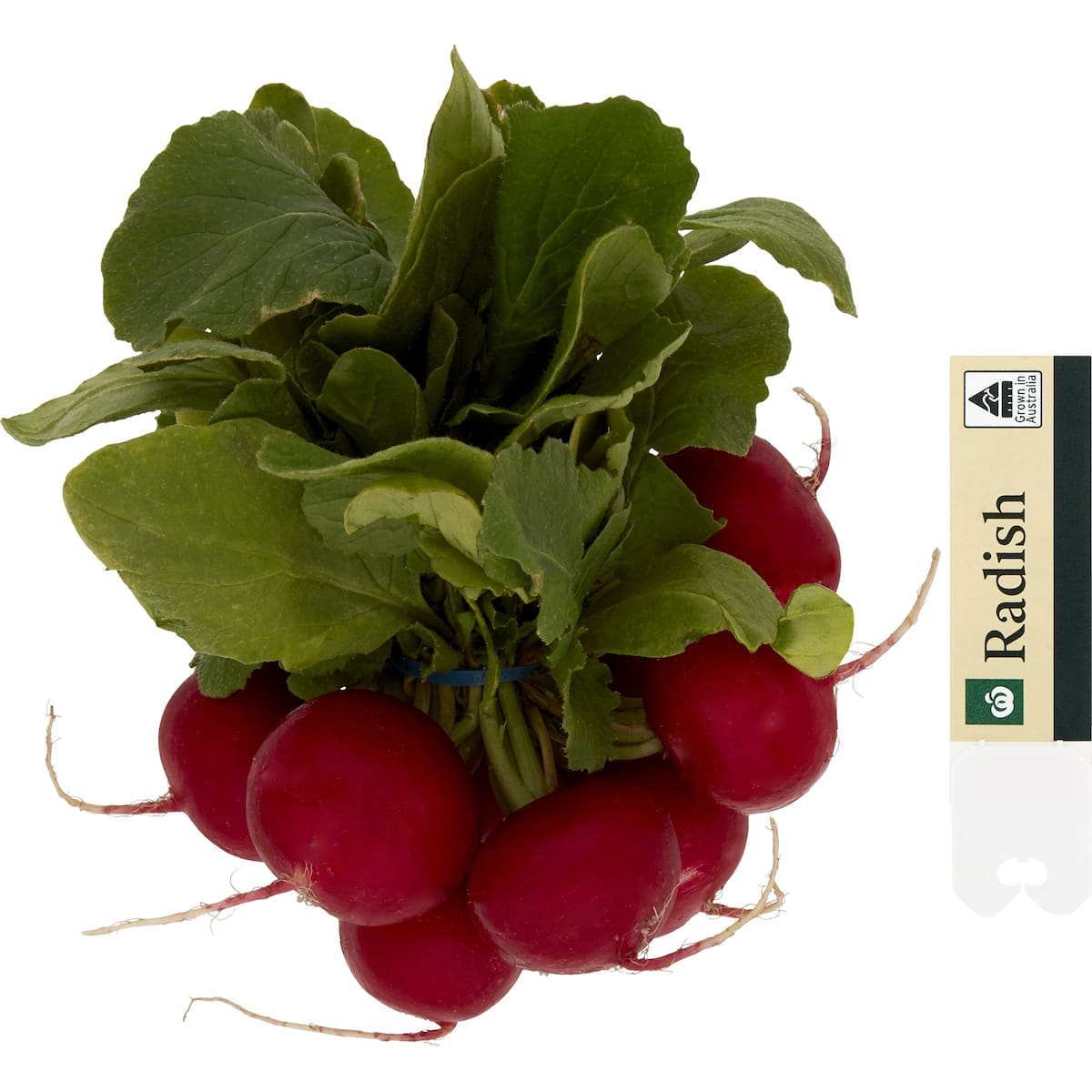 Radish Fresh Bunch | bunch