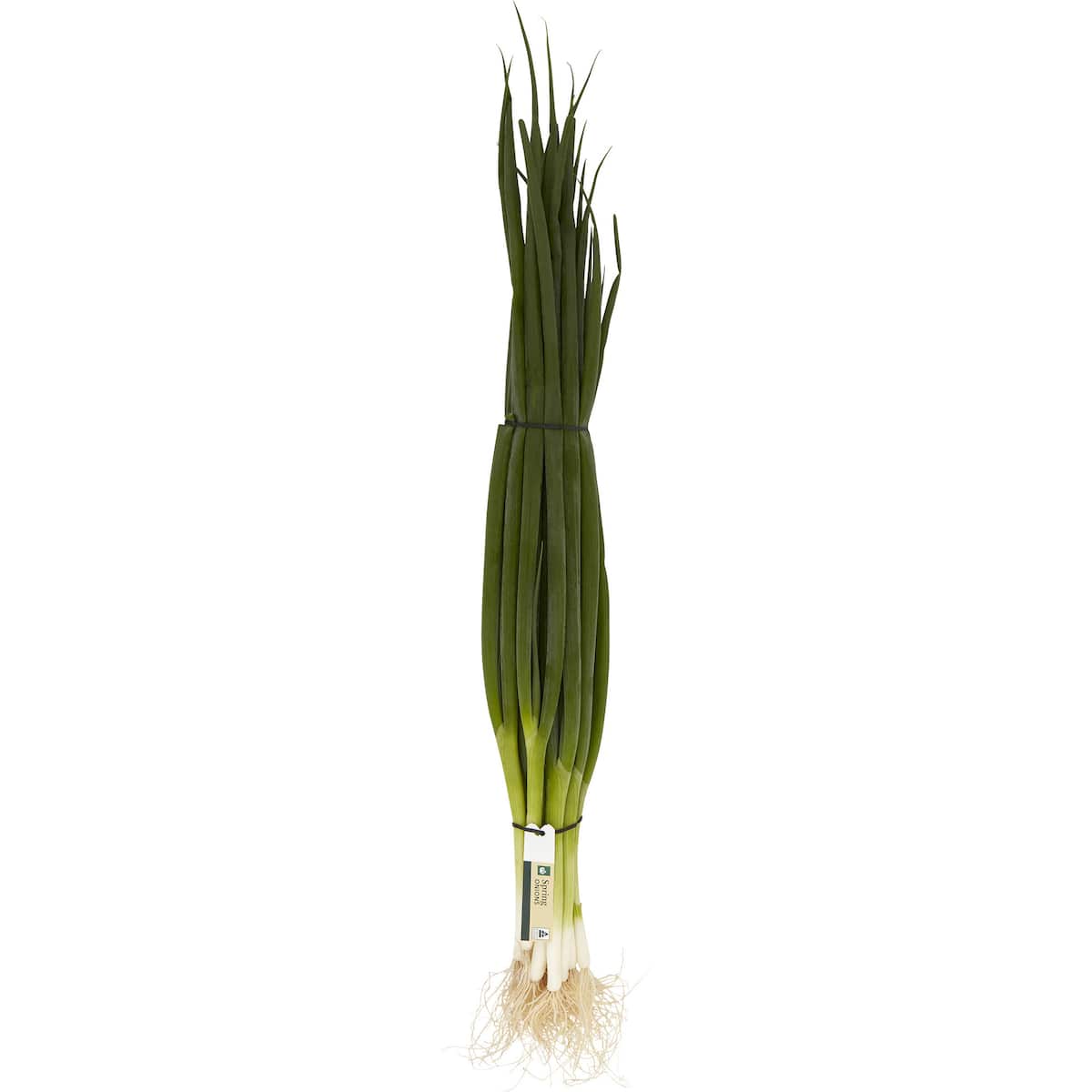 Spring Onion Eschallot Bunch | bunch