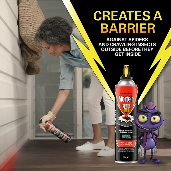 Mortein Powergard Outdoor Crawling Insect Surface Barrier Spray 350g ...