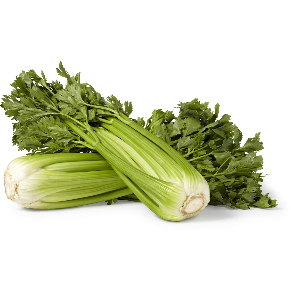 Fresh Celery Organic each | bunch
