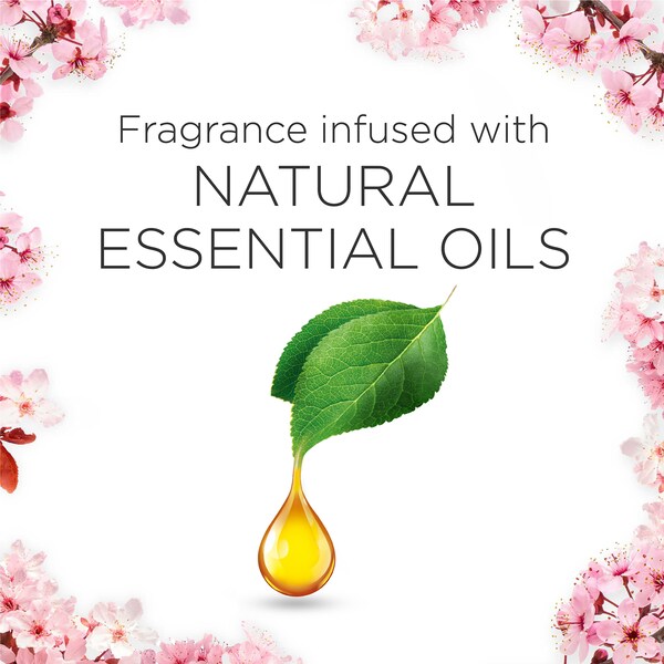 Air Wick Pure Cherry Blossom Plug-in Diffuser Refill 19ml X 3 Pack ...