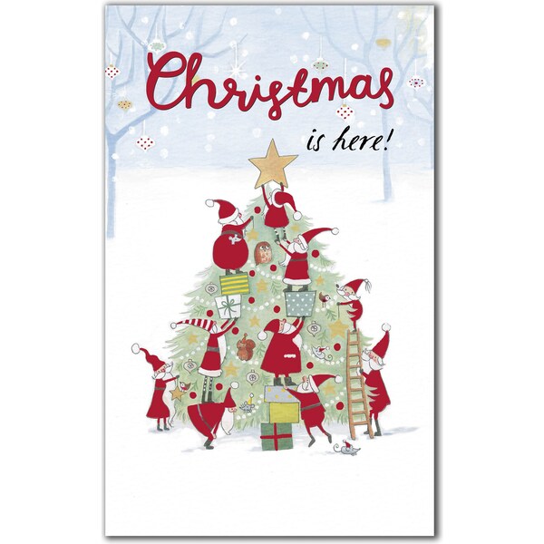 John Sands Christmas Boxed Cards Elves And Tree Each | Woolworths