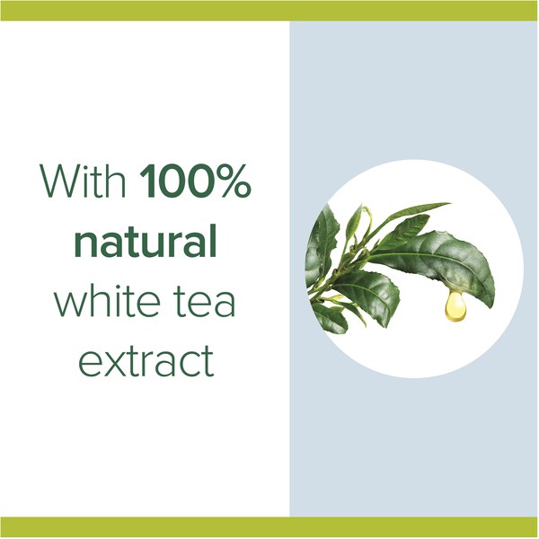 Palmolive Liquid Hand Wash Antibacterial White Tea Refill 1l | Woolworths