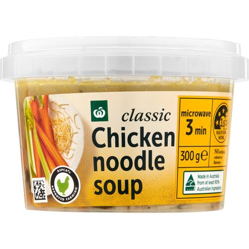 Woolworths Fresh Chicken Noodle Soup 300g | bunch