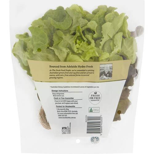 Select Lettuce Oakleaf Combo Each | bunch